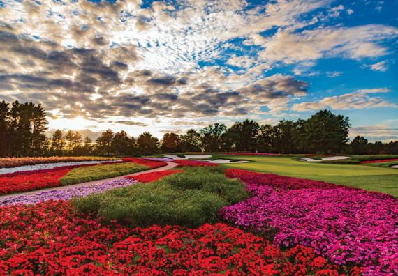 Robert Trent Jones Jr. | Premier Golf Course Architect